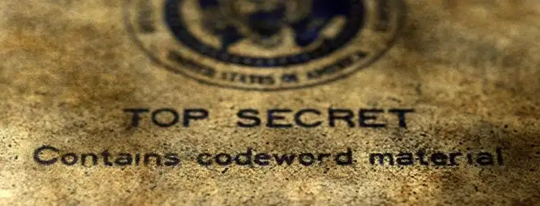 Copyright Information - MegaMilitary - Military History